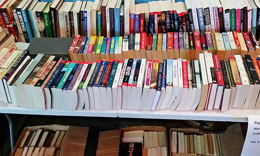 The POP Project – Because everyone deserves a good book.